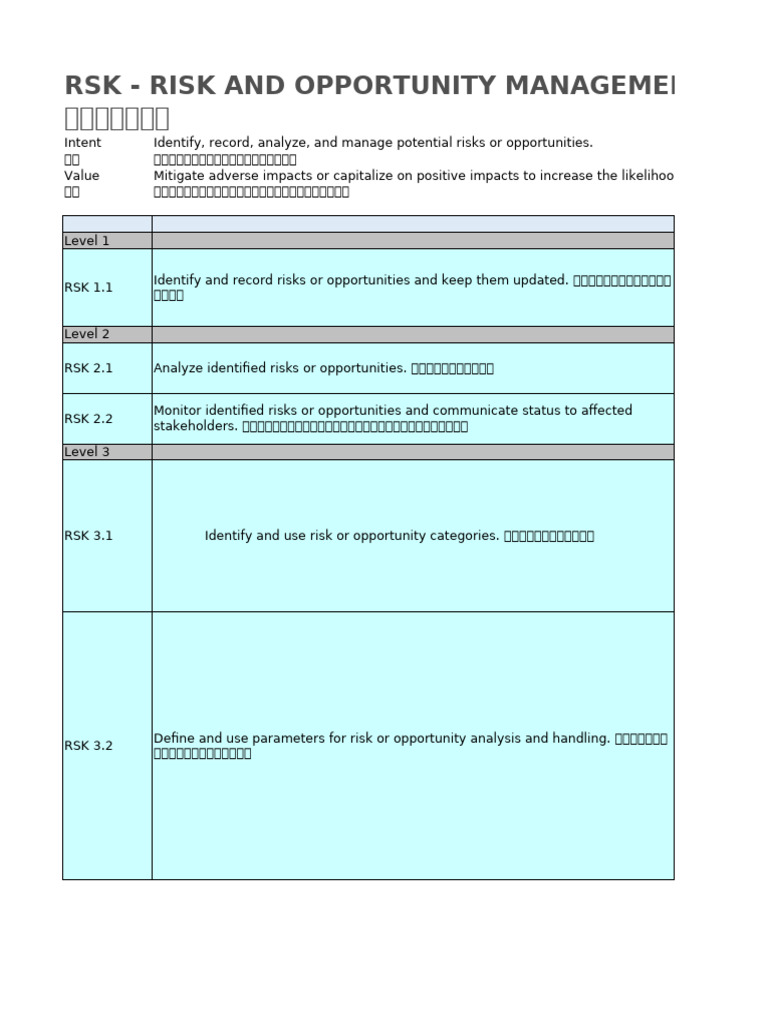 项目经理-RSK | PDF