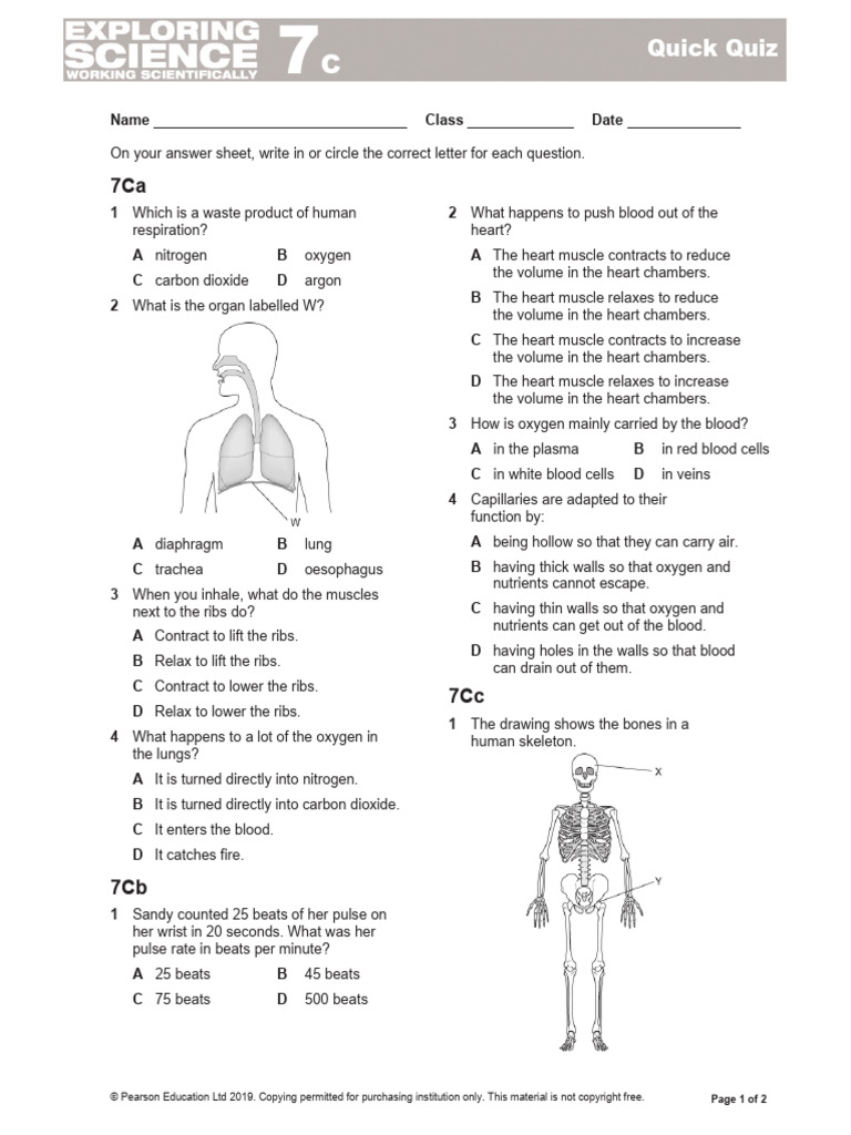 Quick Quiz: Name Class Date | PDF | Breathing | Exhalation