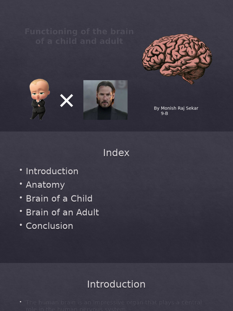 Functioning of The Brain of A Child and An Adult | PDF | Brain ...