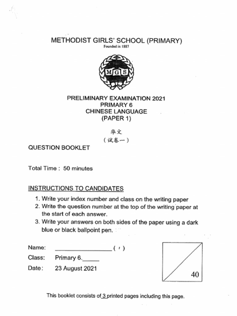 P6 Chinese Prelim 2021 MGS Exam Papers | PDF