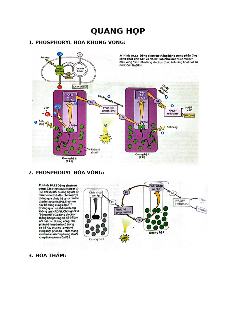 Hình Quang H P | PDF