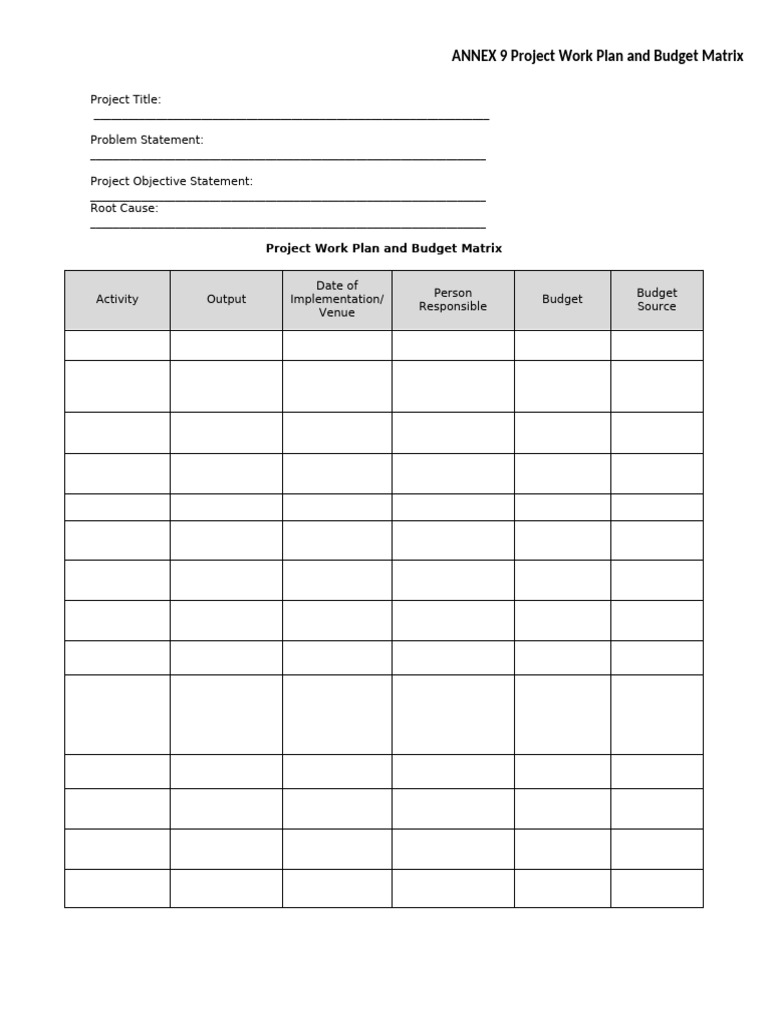ANNEX 9 Project Work Plan and Budget Matrix | PDF