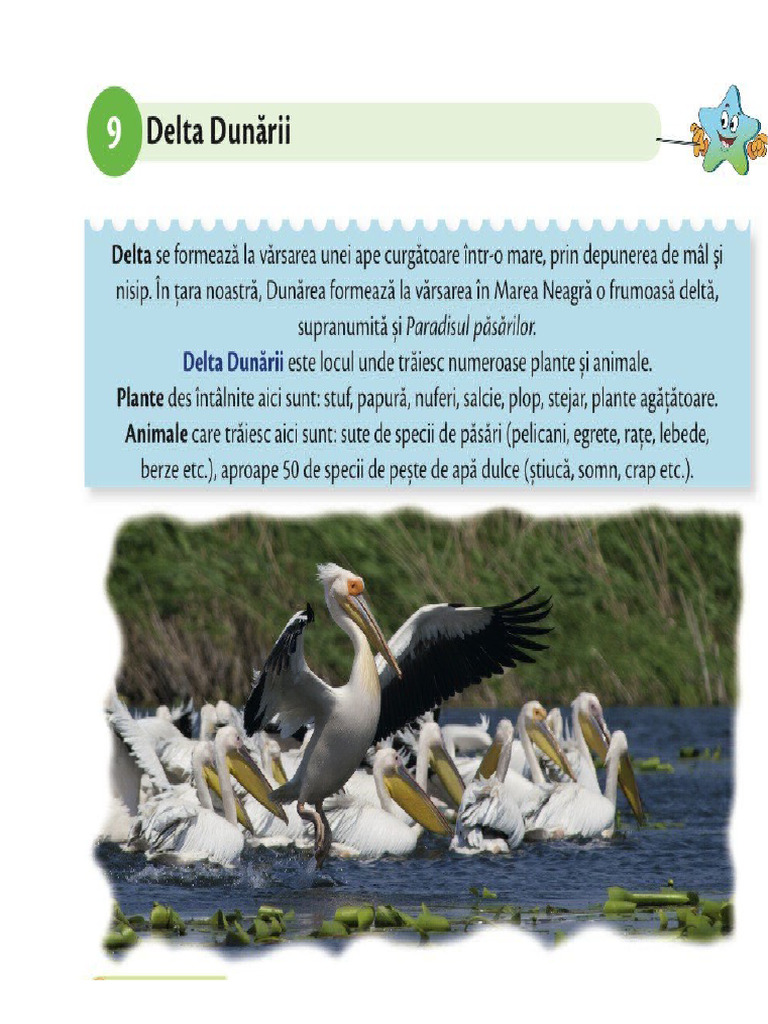 planse stiinte+mem | PDF