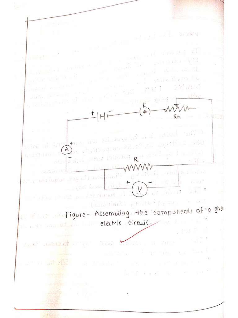 Activity2_Class XII | PDF