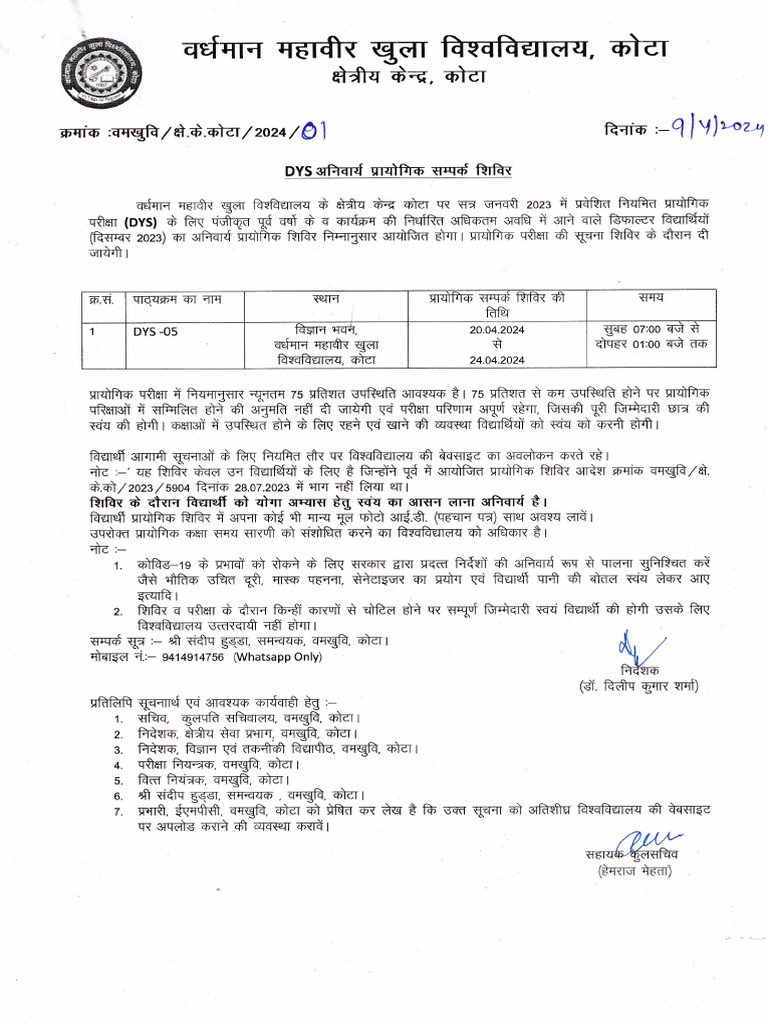 DYS Camp Overview and Guidelines | PDF