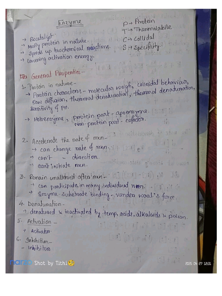 Enzyme Short Notes | PDF