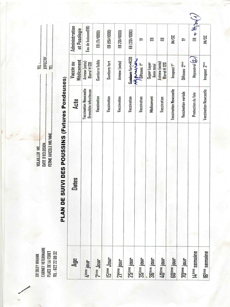 PLAN PROPHYLAXIE PONDEUSE | PDF