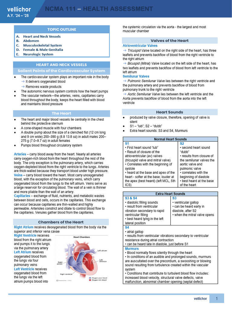 Ha Finals | PDF | Heart Valve | Heart