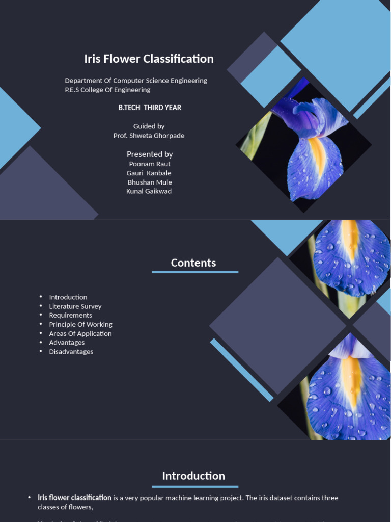 Iris Flower Classification Final | PDF | Comma Separated Values | Statistical Classification