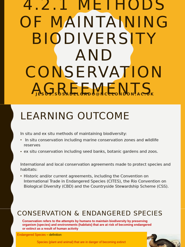Methods of Maintaining Biodiversity (Questions and MS) | PDF ...