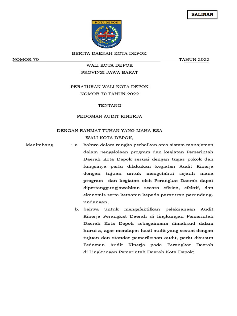 Pedoman Audit Kinerja | PDF