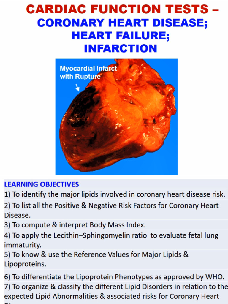 7 - PART 1 Cardiac Function Tests | PDF