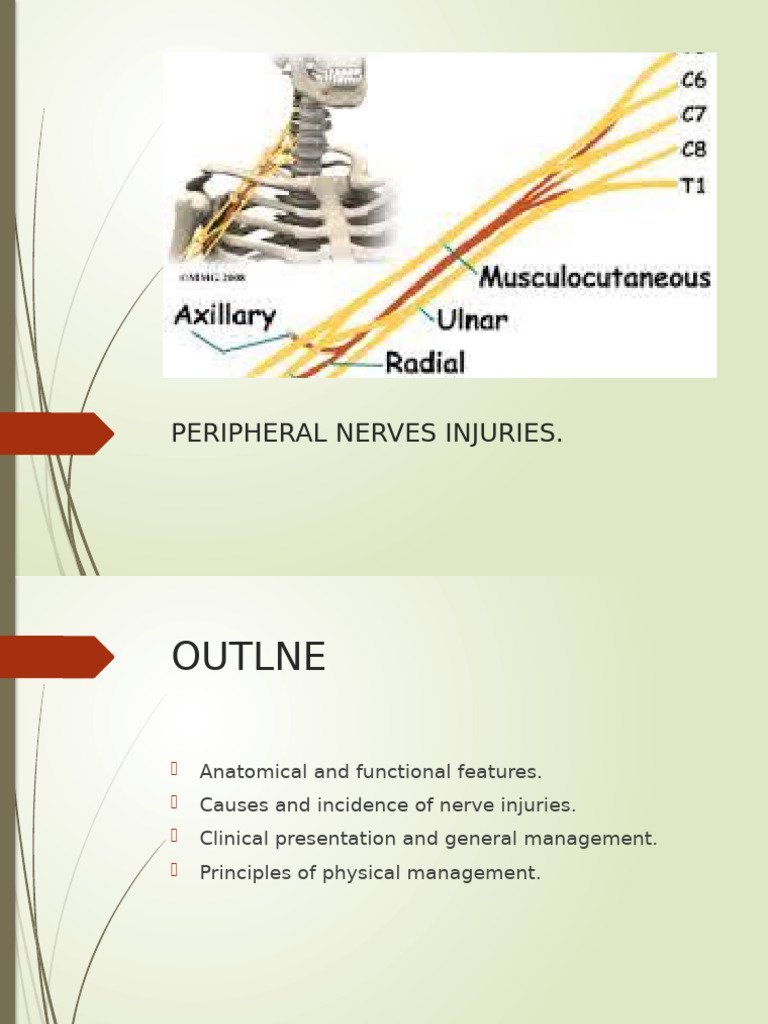 Peripheral Nerves Injuries | PDF | Anatomical Terms Of Motion | Arm