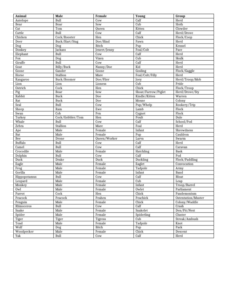 Merged Animal Terms Expanded | PDF | Chicken | Sheep