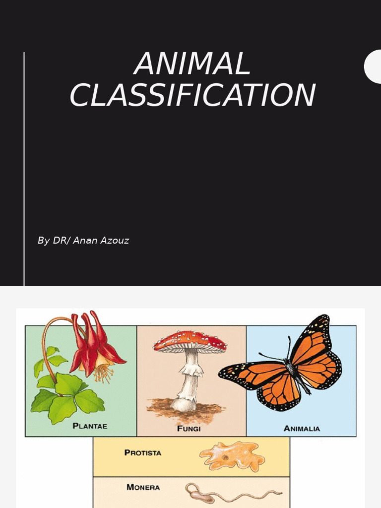 Topic 1b_Animal Classification | PDF | Skin | Zoology