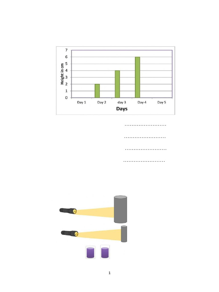 Grade 2 Science Worksheet | PDF