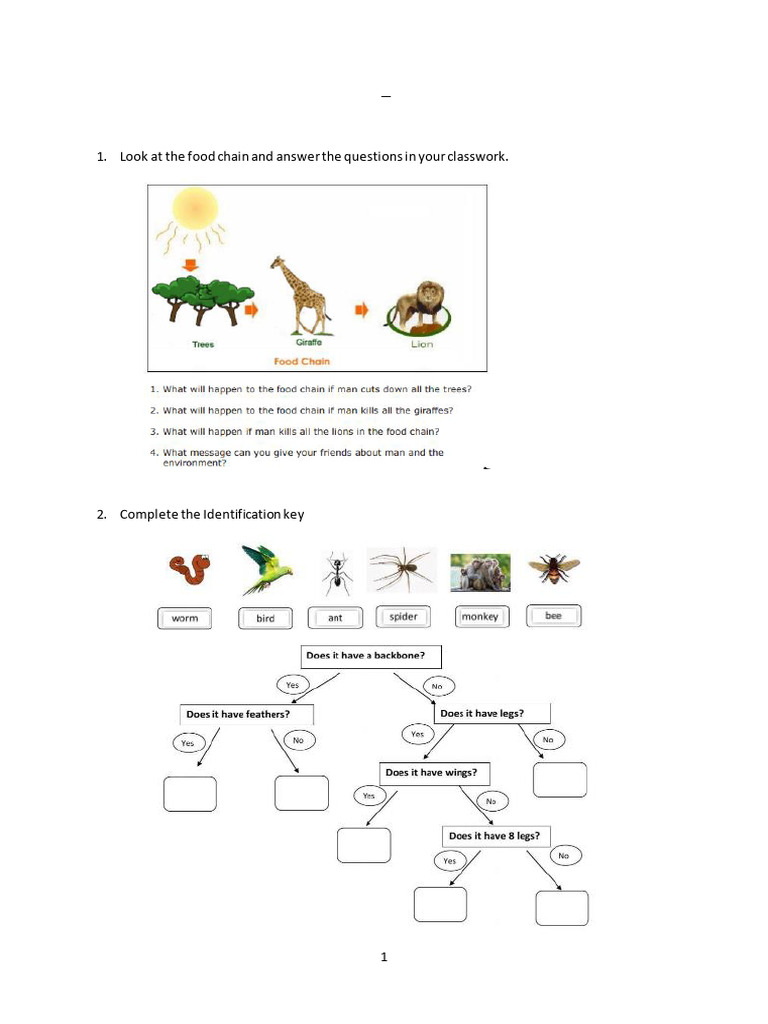 Grade 3 Science Worksheet | PDF