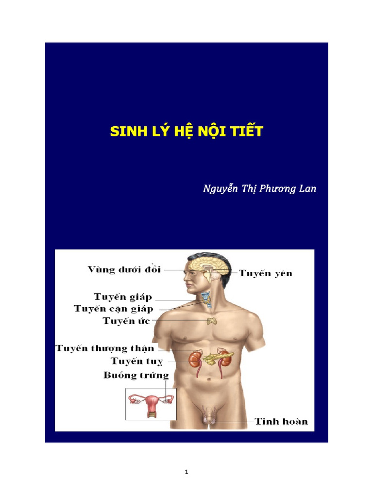 He Noi Tiet | PDF