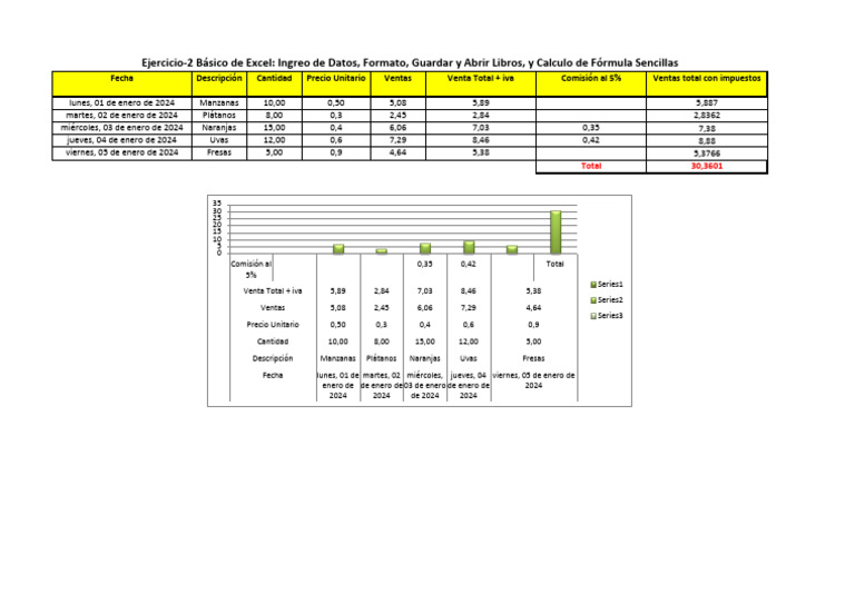 Ejercicio_Datos_Basicos.x1sx | PDF