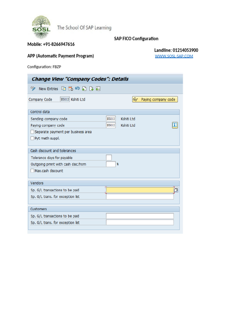 FI - APP Automatic Paymnet Programe | PDF | Telecommunications