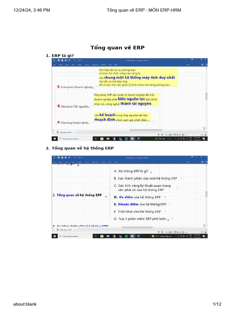 Tổng Quan Về Erp - Môn Erp-hrm | PDF