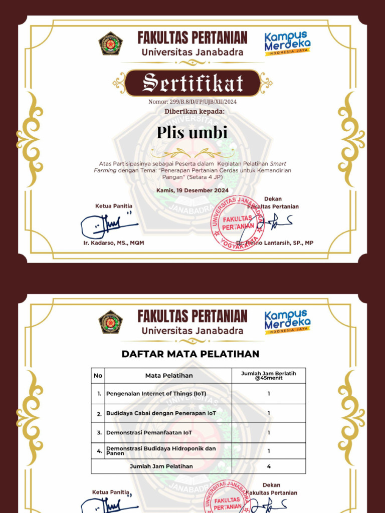 Sertifikat Plis Umbi | PDF