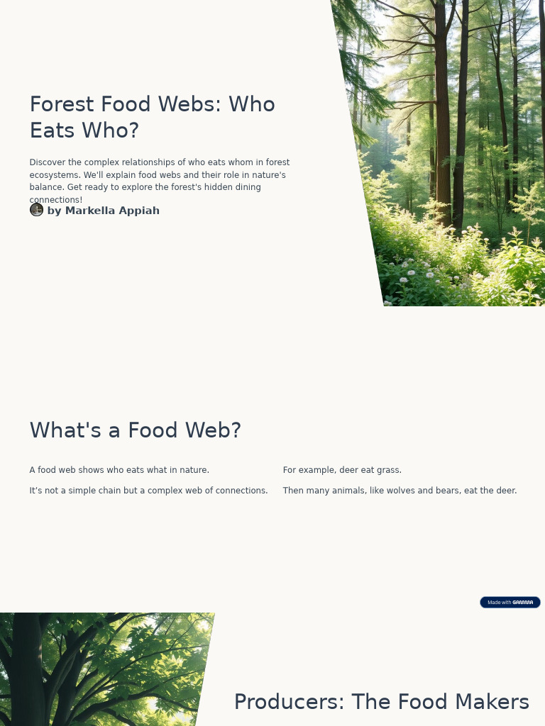 Forest Food Webs Who Eats Who | PDF | Food Web | Foods