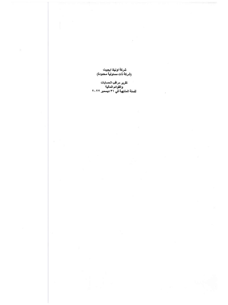 Financial Statements - Arabic | PDF