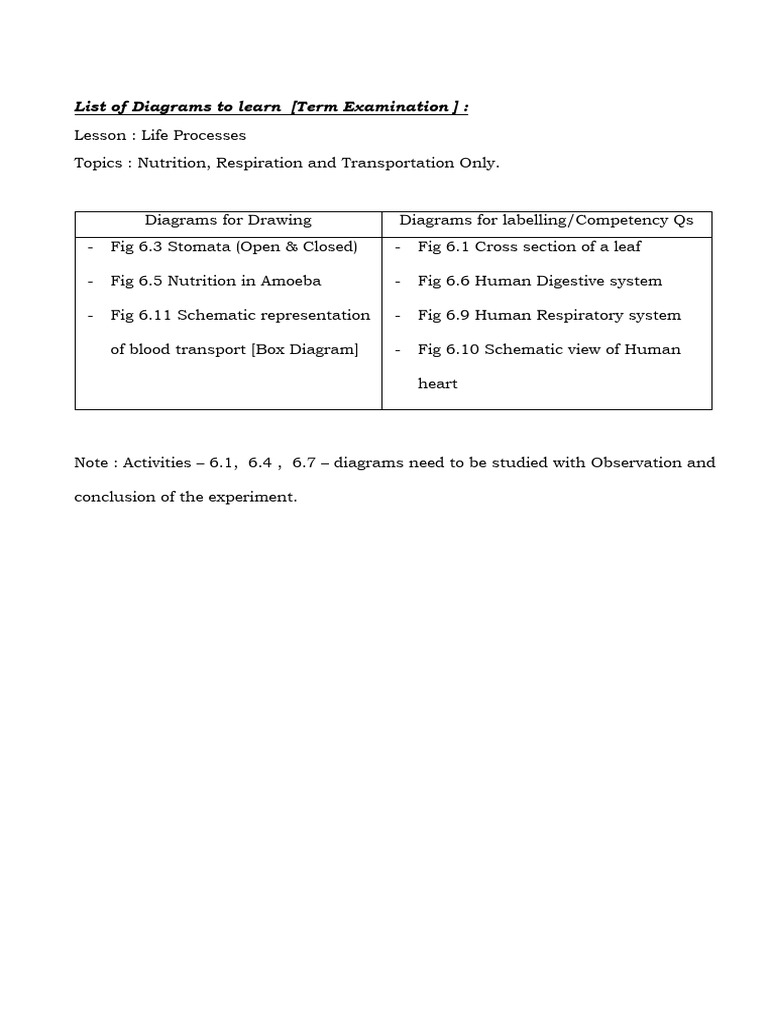 List of Diagrams - Term Exam Grade 10 Biology | PDF