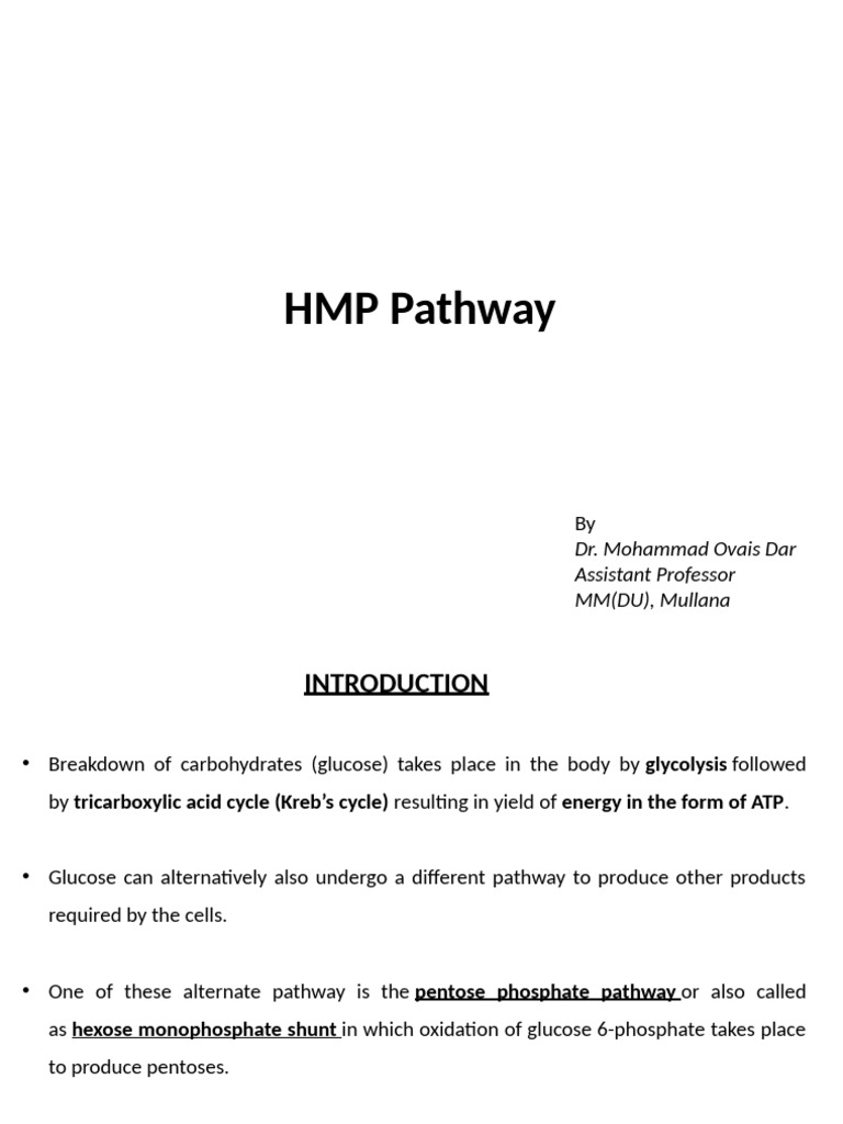 04 HMP Pathway | PDF