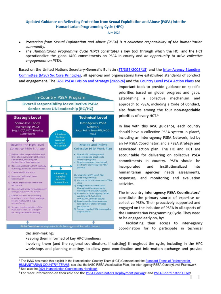 PSEA Guidance for Humanitarian Programming | PDF | Humanitarian Aid ...