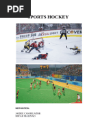 Top 17 Ice Sports Explained | PDF | Sledding | Ice Hockey