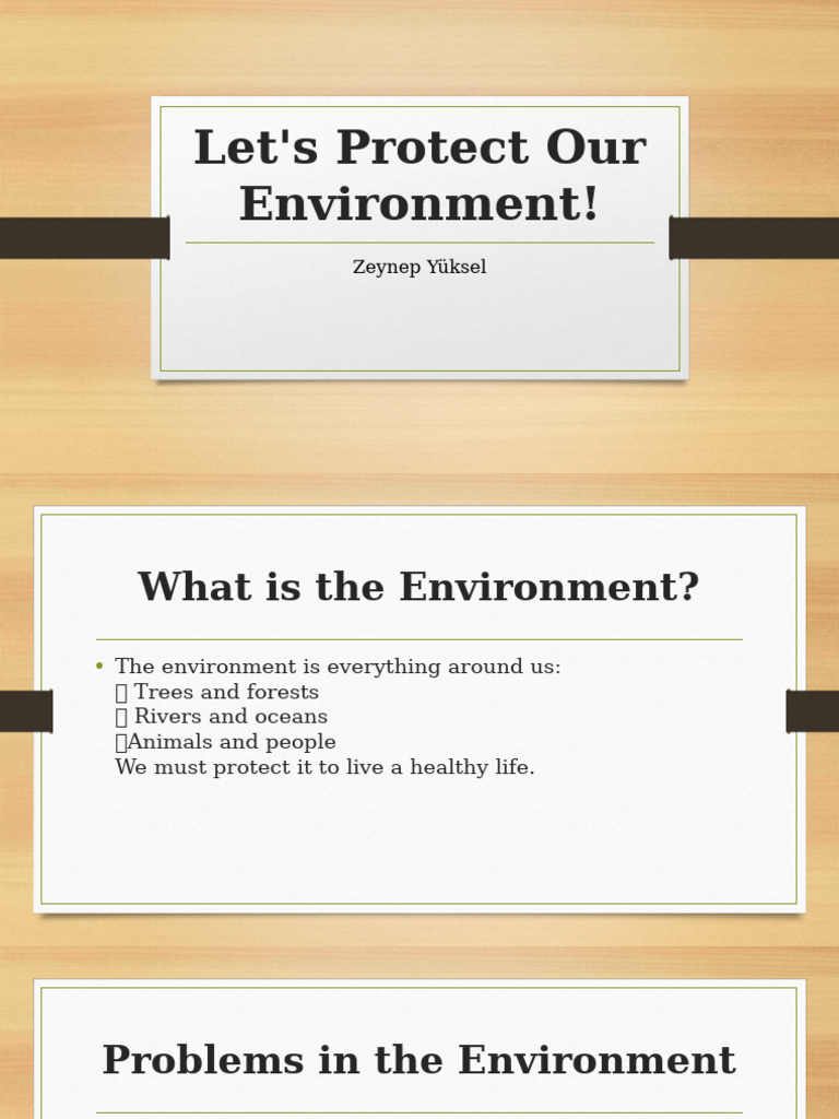 Let's Protect Our Environment! | PDF