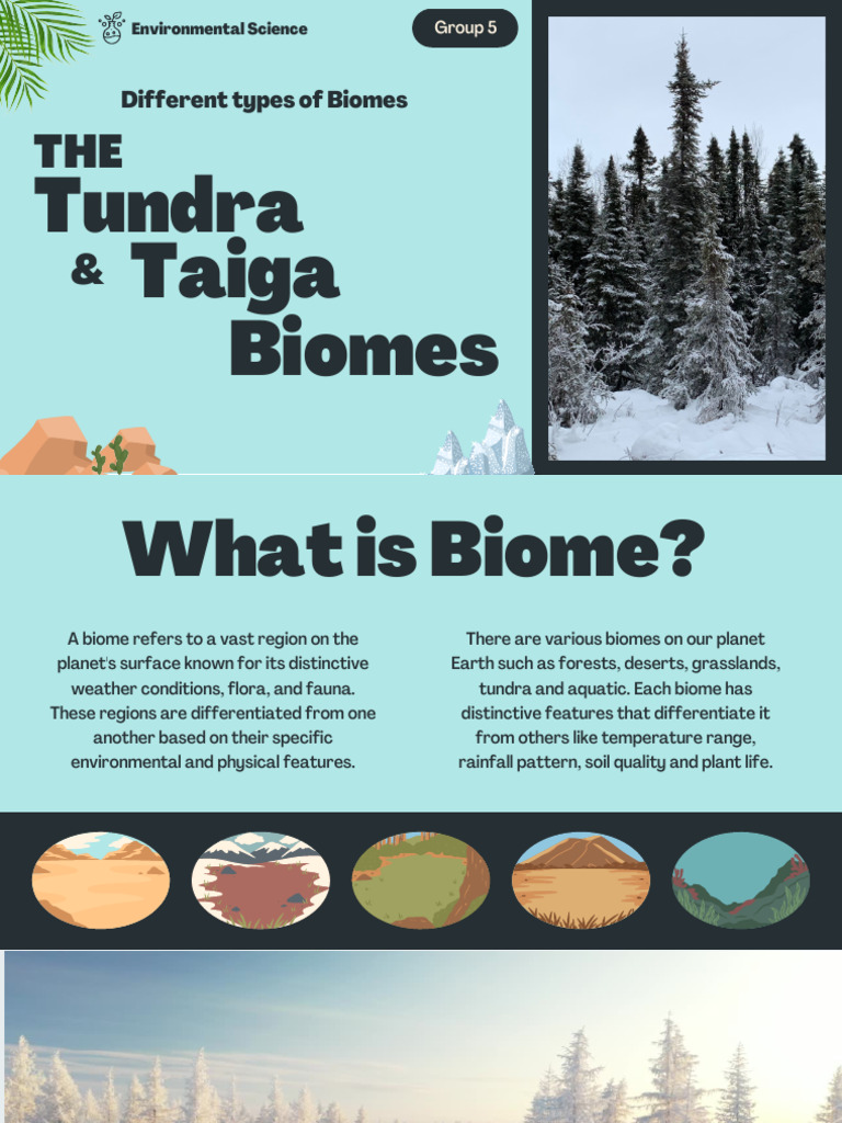Tundra Taiga Biomes Compressed | PDF | Natural Environment | Earth Sciences