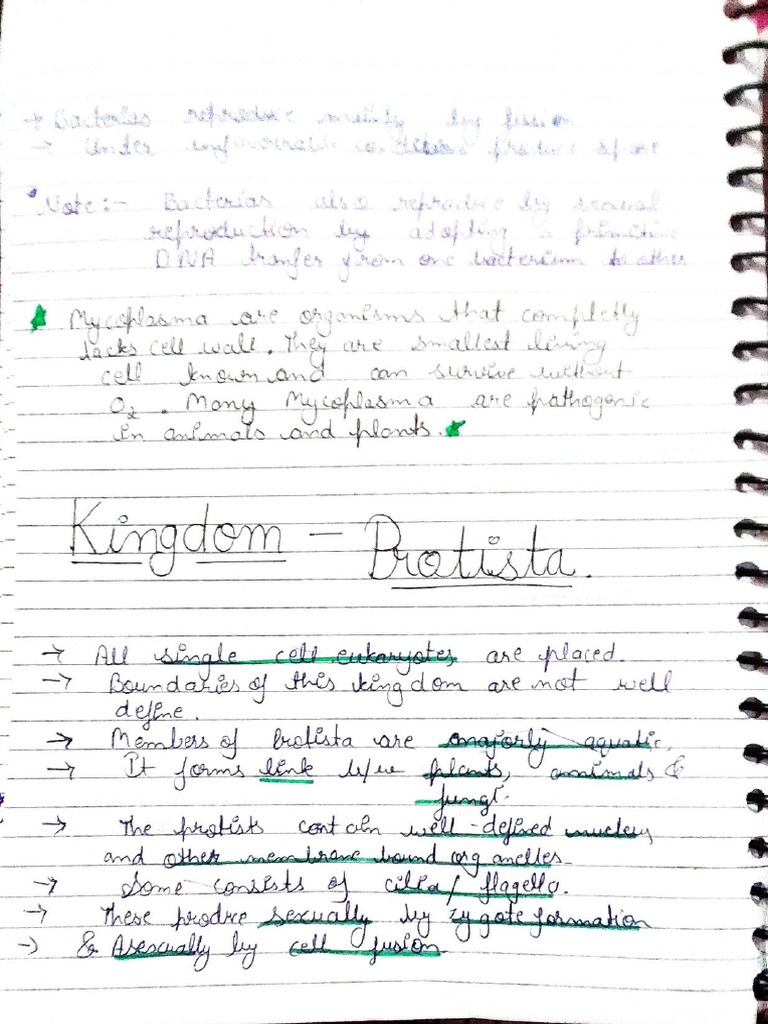 Biological Classification Class 11th Notes (Kingdom Protista) | PDF