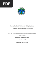 Soil Field Capacity Determination Guide | PDF | Soil | Water