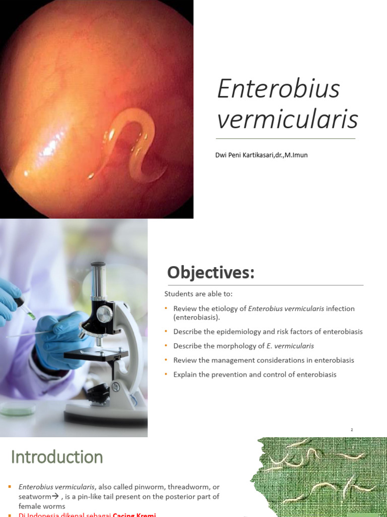 Enterobius vermicularis 2024 | PDF | Diseases And Disorders | Clinical ...