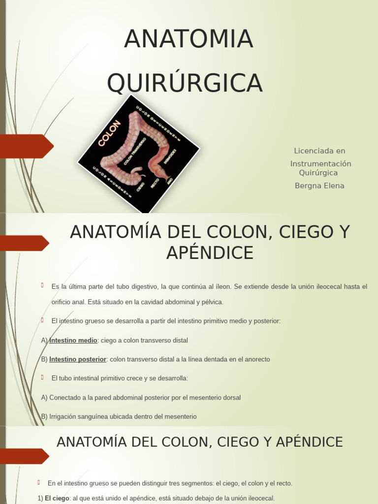 Anatomia Del Colon | PDF | Intestino grueso | Tracto gastrointestinal