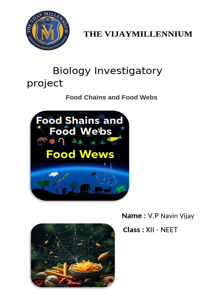 Biology Project - Food Chain and Food Web | PDF | Food Web | Foods