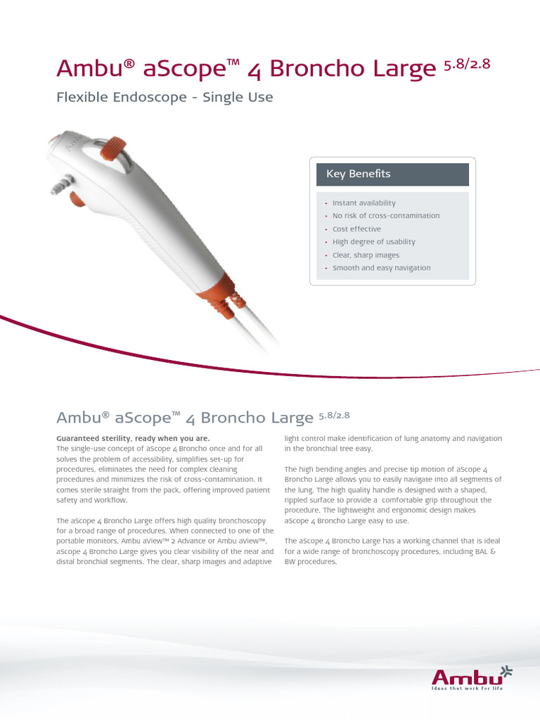 IE Datasheet Ascope 4 Broncho Large - V04 - 10912 | PDF