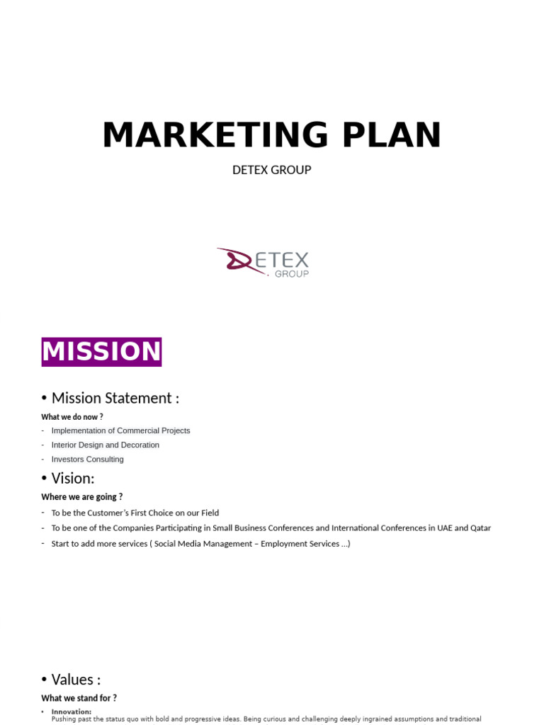 Marketing Plan: Detex Group | PDF