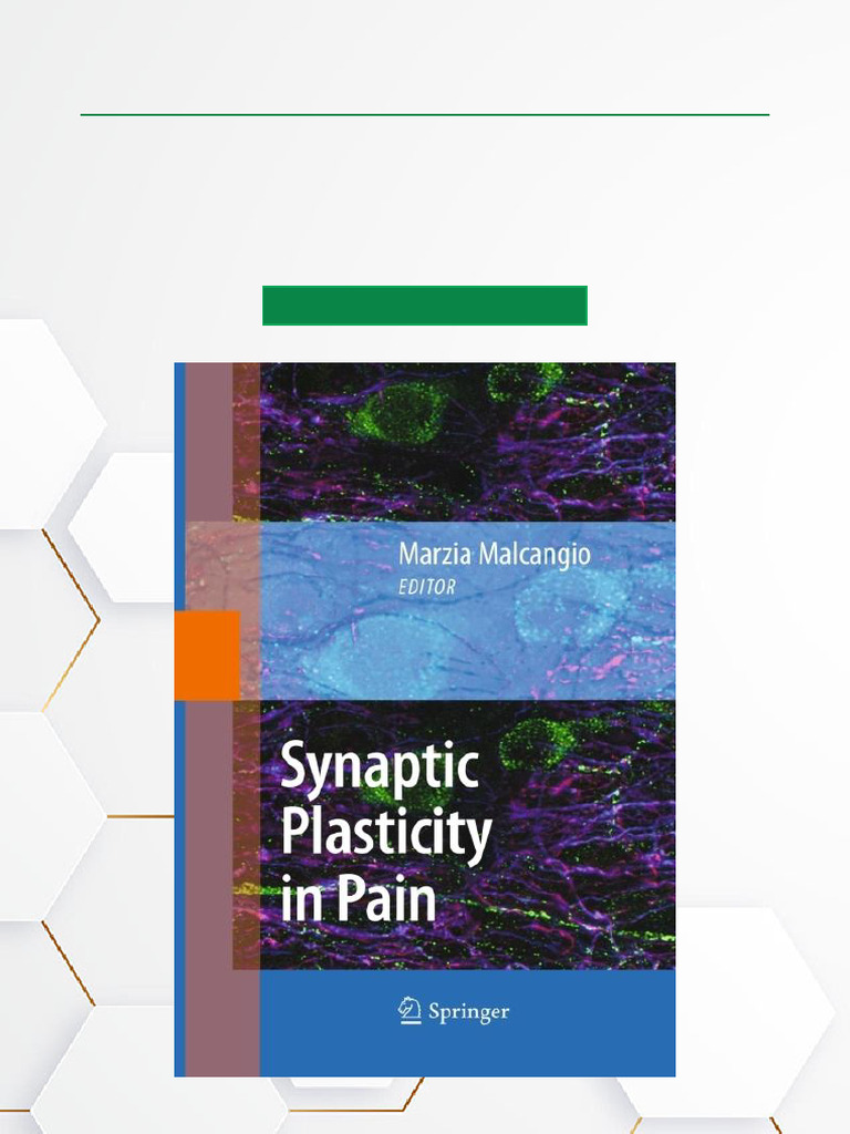Synaptic Plasticity in Pain Premium Ebook Download | PDF | Neuron ...