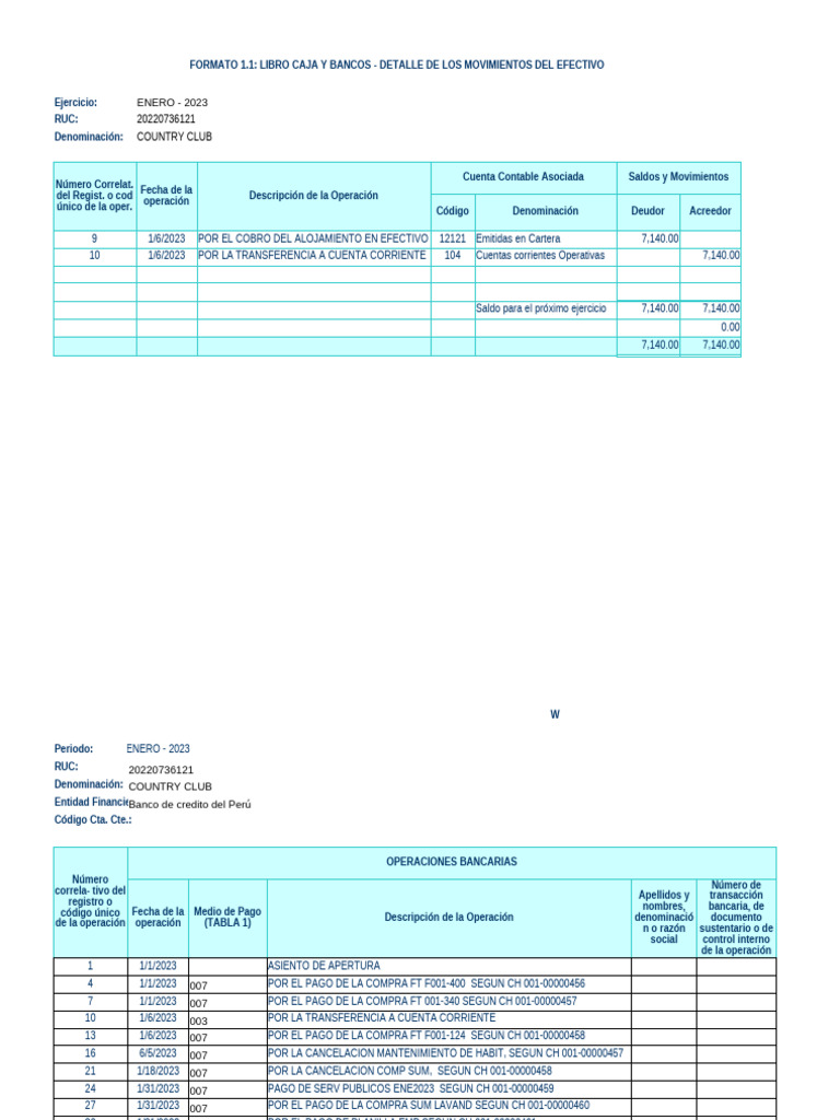 Libro Formatos Sunat | PDF | Bancos | Transferencia bancaria