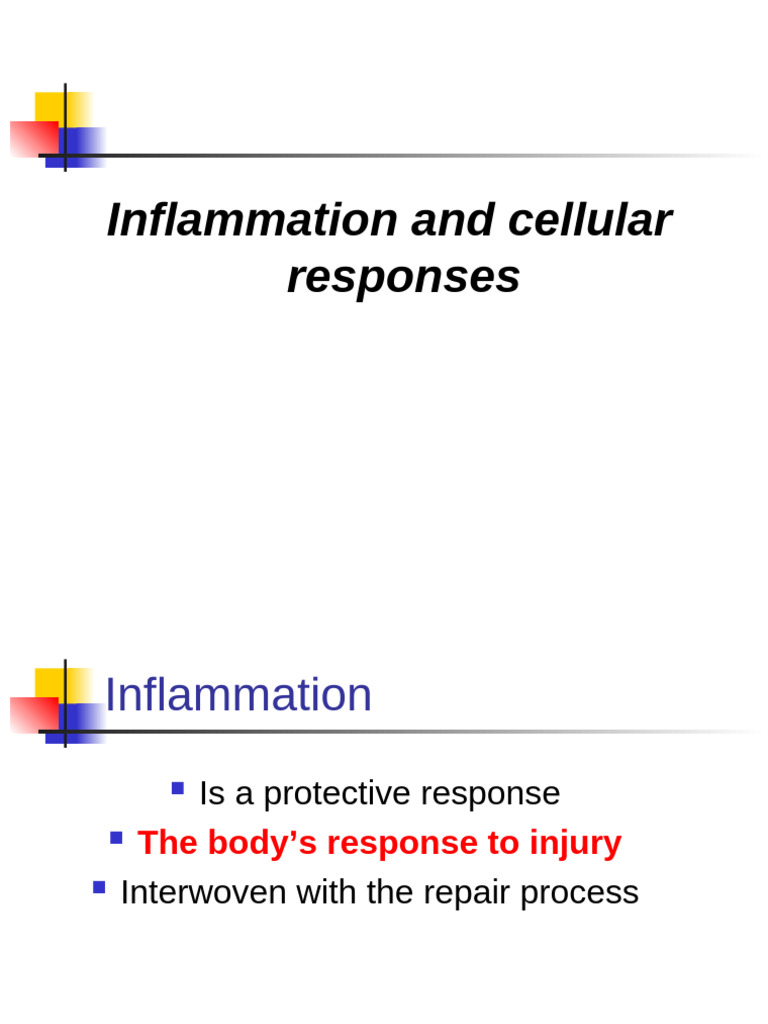 Understanding Inflammation and Healing | PDF | Inflammation | Macrophage