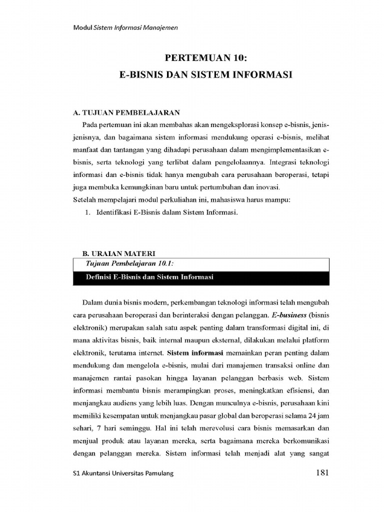 PERTEMUAN KE-10 - E-Bisnis Dan Sistem Informasi | PDF