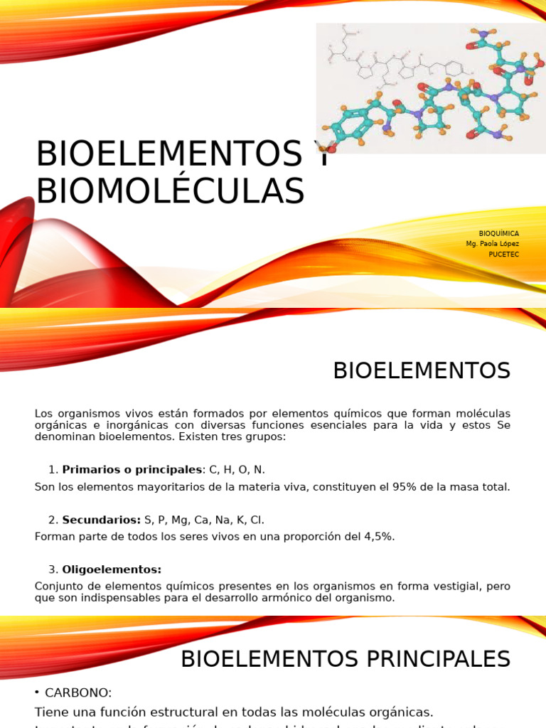 Biomoléculas y Bioelementos | PDF | Organismos | Biomoléculas