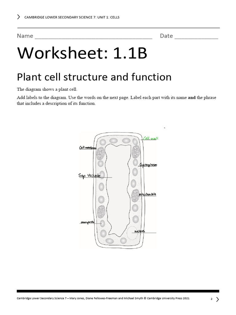 Exam Revision Worksheet Term 3-1 | PDF | Tide | Cell (Biology)