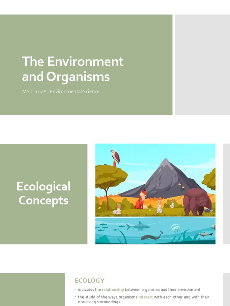 MST 101a - Environmental Science - The Environment and Organisms | PDF ...