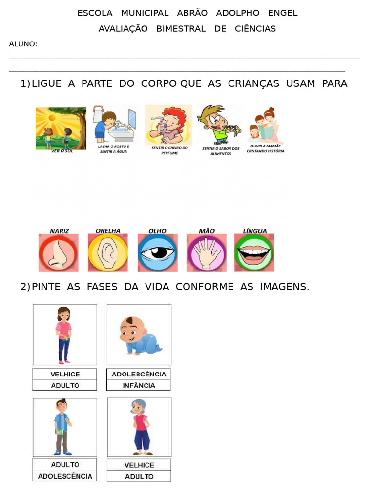 Bimestral CIEN | PDF