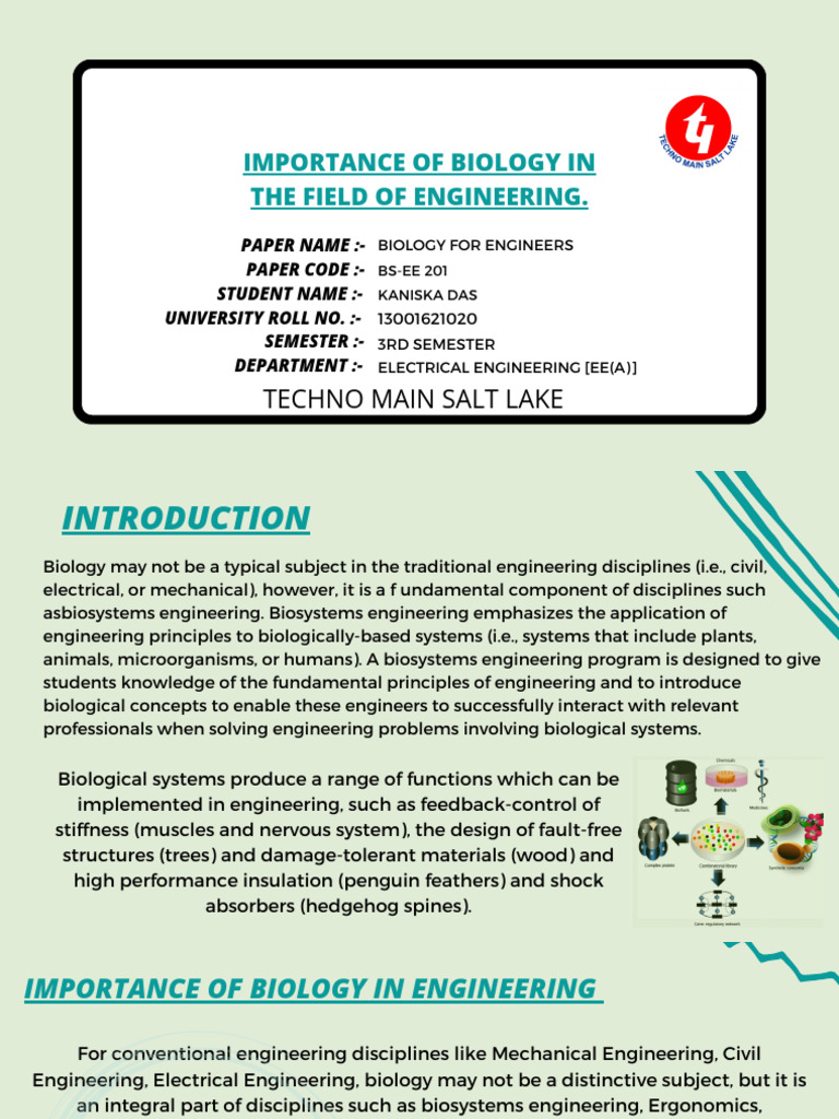 Biology's Role in Engineering Solutions | PDF | Engineering | Biology
